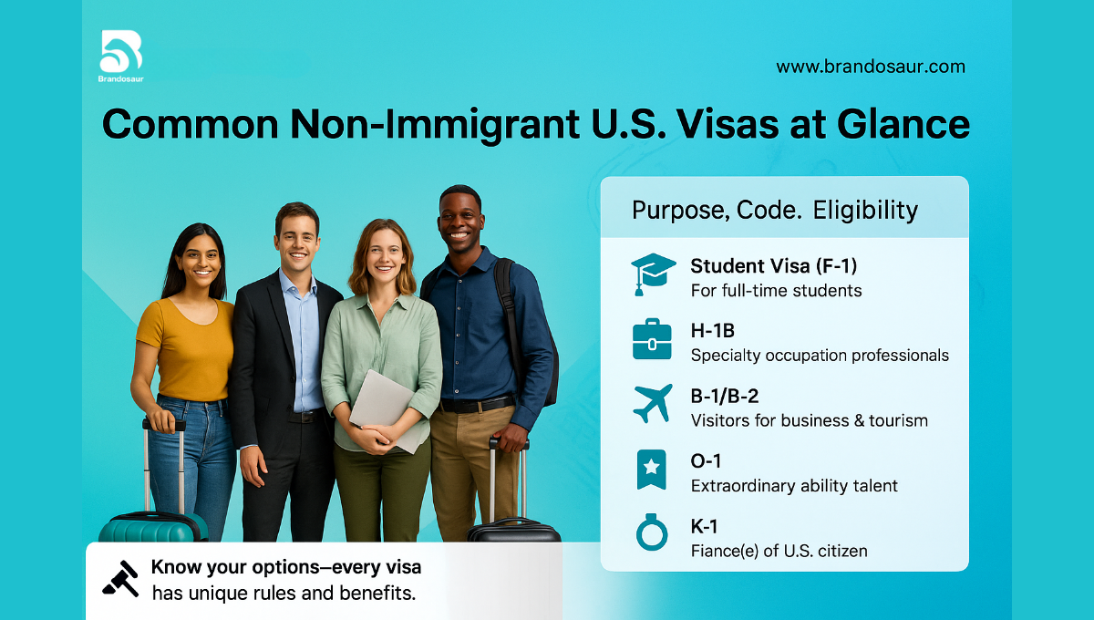 Immigrant Vs Non-Immigrant Visa: Guide To Types & Steps 2025
